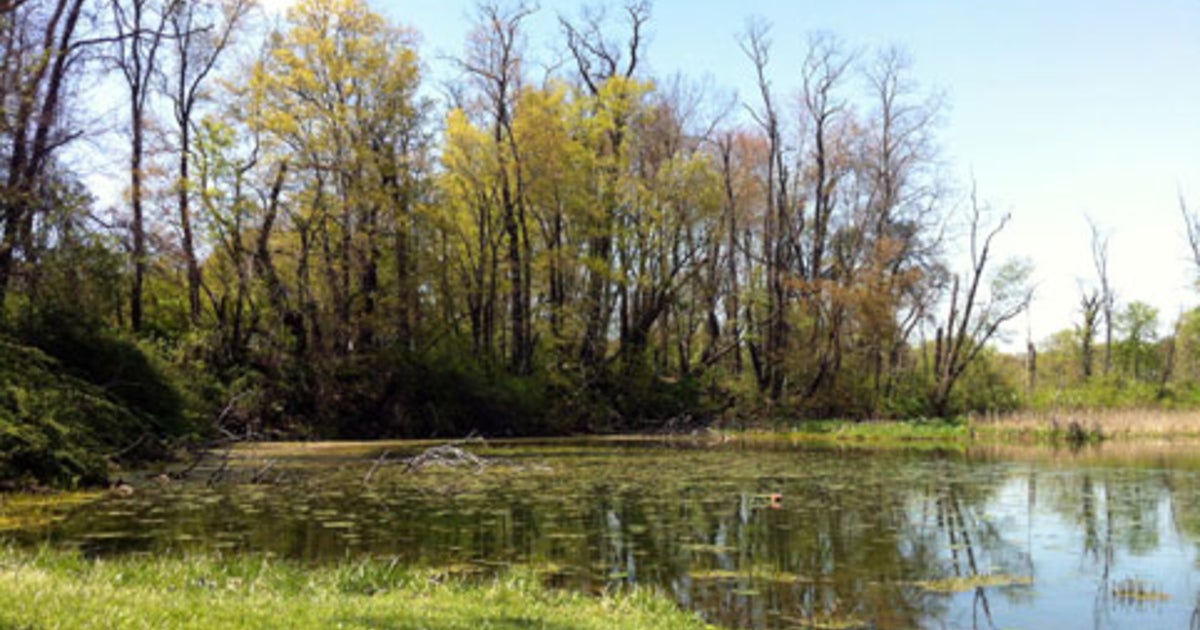 Ebaugh Pond | Campus Map
